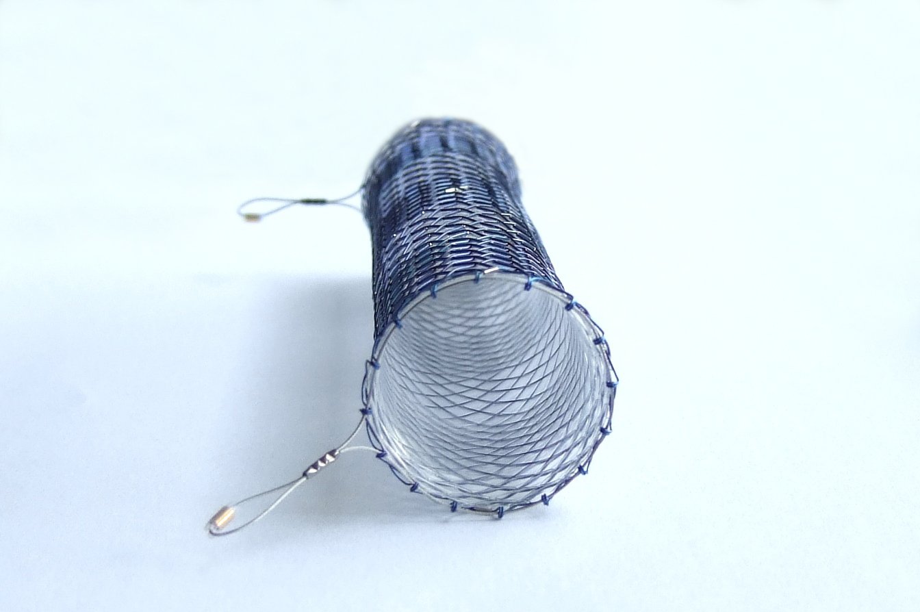 Danis stent - Stentit - Kebomed